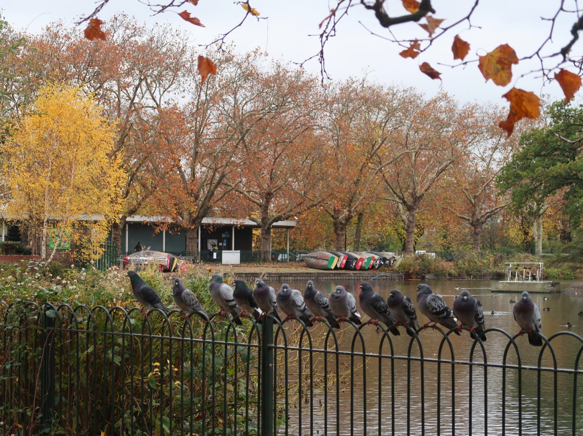 Finsbury Park – Mick Hartley